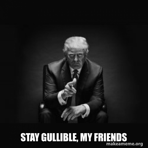 stay Gullible, My friends Meme Generator