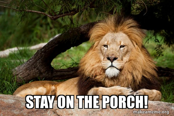 Stay On The Porch! - Contemplative Lion Meme Generator