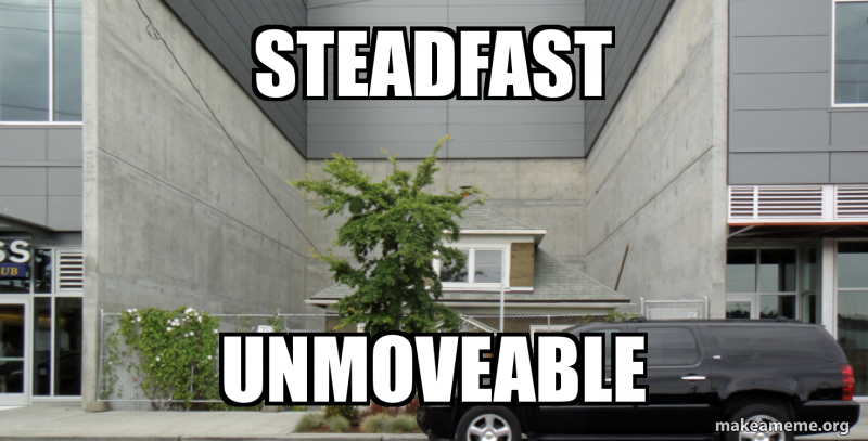 Steadfast UnmoveablE Meme Generator