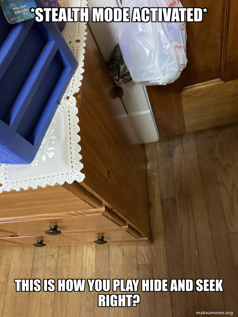*stealth Mode Activated* THIS IS HOW YOU PLAY HIDE AND SEEK RIGHT? Meme Generator