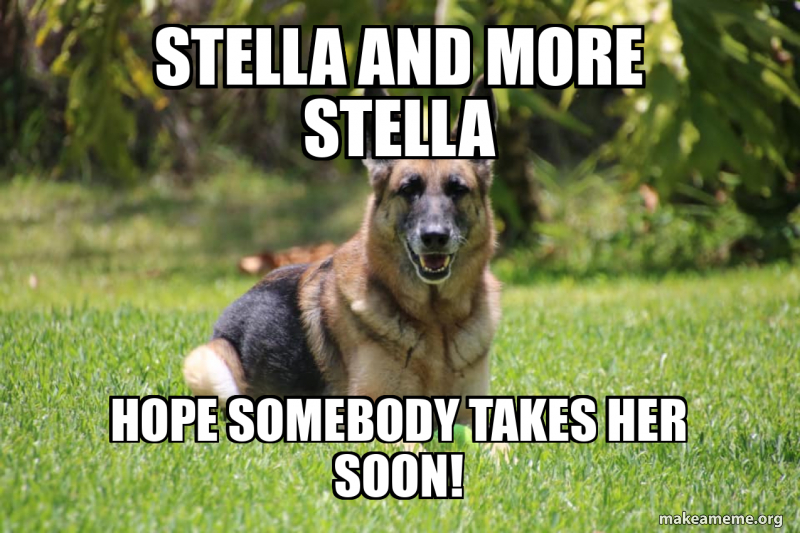 STELLA AND MORE STELLA HOPE SOMEBODY TAKES HER SOON! Meme Generator