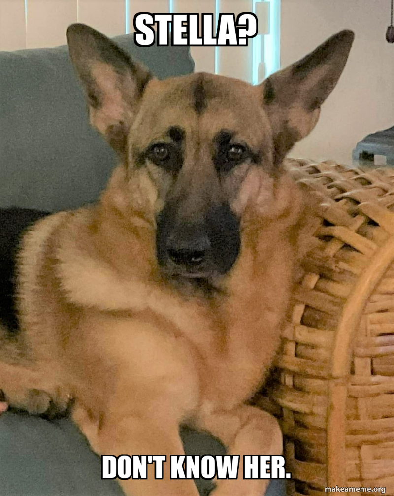 STELLA? DON'T KNOW HER. Meme Generator