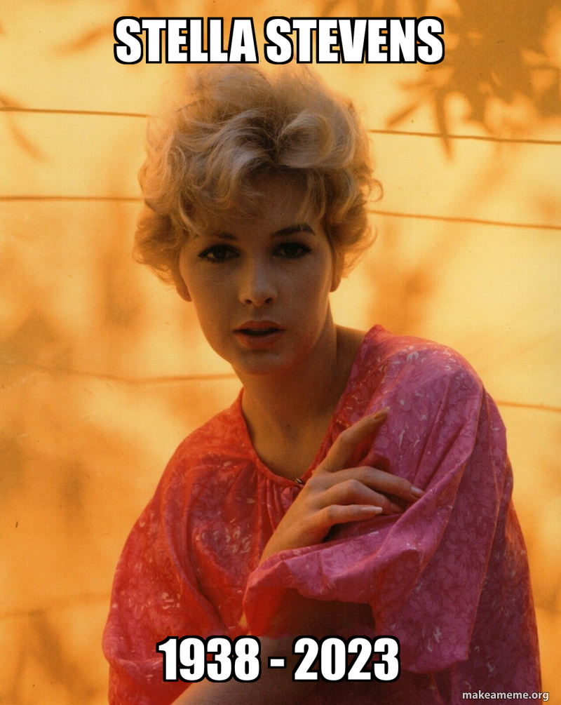 STELLA STEVENS 1938 - 2023 Meme Generator