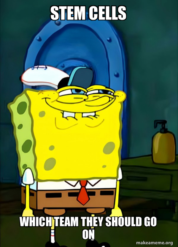 Stem cells which team they should go on - SpongeBob Grin Meme Generator