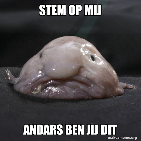 stem op mij andars ben jij dit - Blobfish Meme Generator