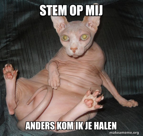 stem op mij anders kom ik je halen - Hairless Cat Meme Generator