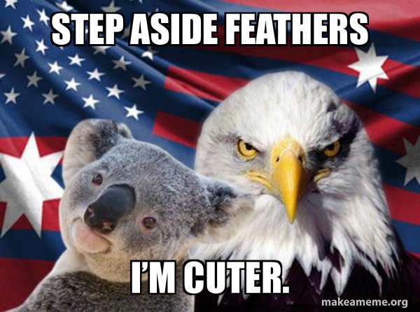 Step aside feathers Iâ€™m cuter. - Ameristralia Meme Generator