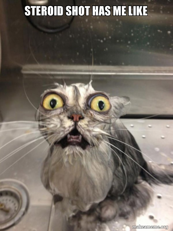 Steroid shot has me like - Cat bath Meme Generator