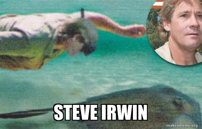 STEVE IRWIN Meme Generator