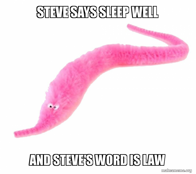sTeve says sleep well And steve's word is law Meme Generator