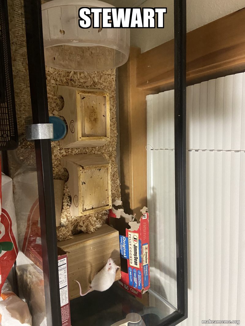 Stewart Meme Generator