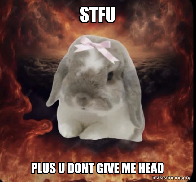 stfu plus u dont give me head Meme Generator