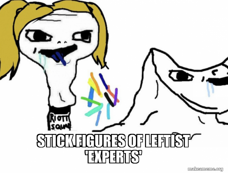 stick Figures of leftist 'experts' Meme Generator