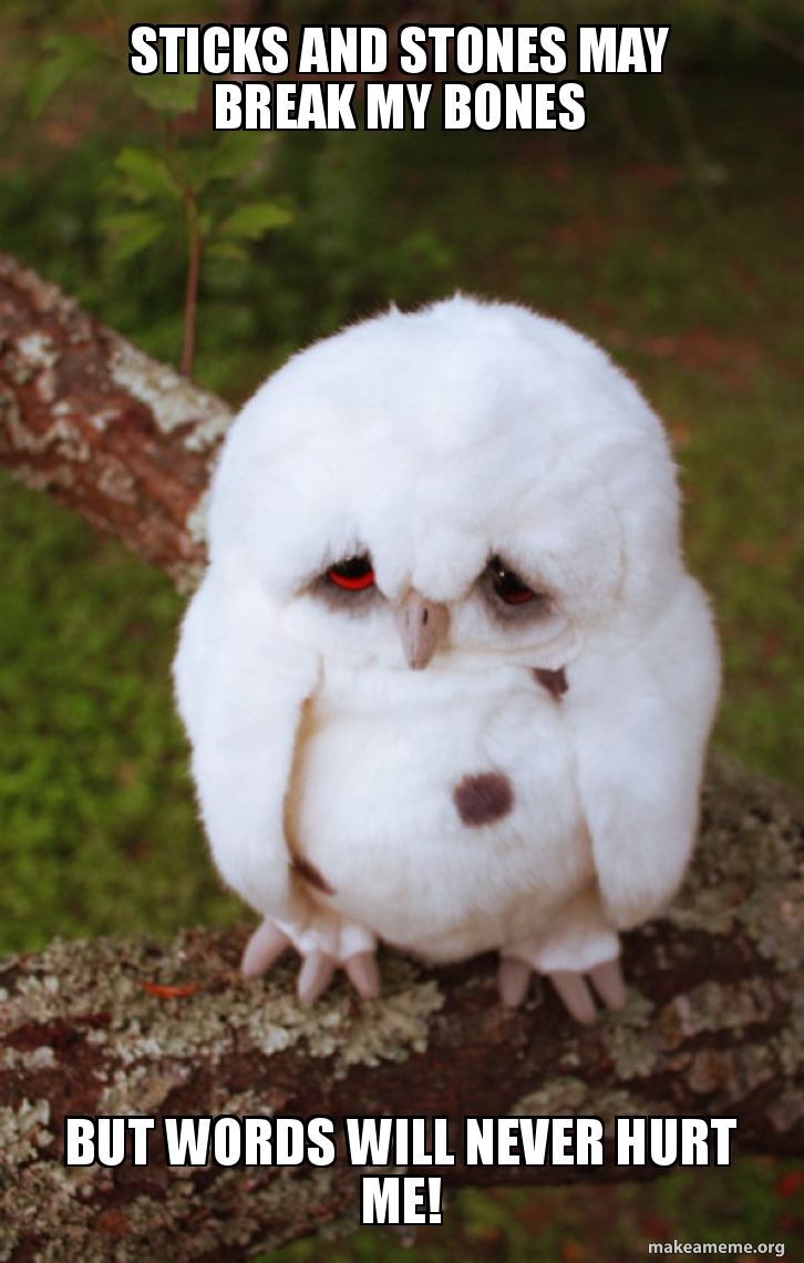 Sticks and stones may break my bones But words will never hurt me ...