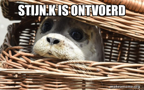 stijn.k is ontvoerd - Impending Doom Seal Meme Generator