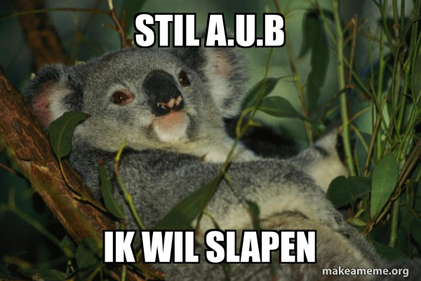 stil a.u.b ik wil slapen - Laid Back Koala Meme Generator