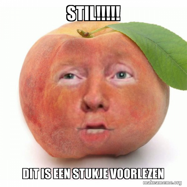 STIL!!!!! DIT IS EEN STUKJE VOORLEZEN - Impeached Donald Trump Meme ...