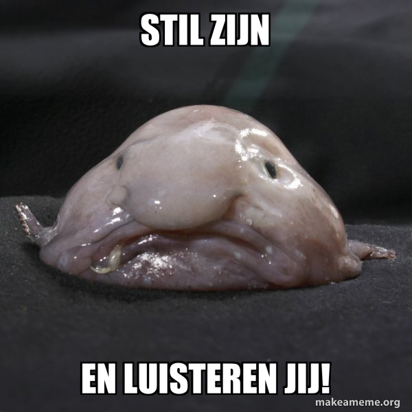 Stil zijn En luisteren jij! - Blobfish Meme Generator