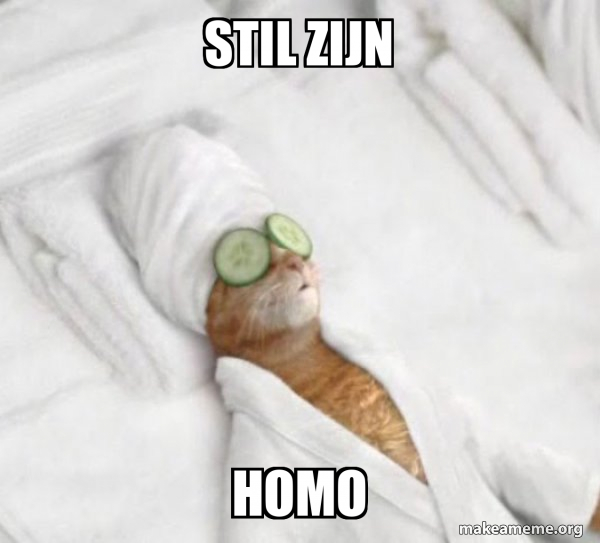 stil zijn homo - Pampered Cat Meme Meme Generator