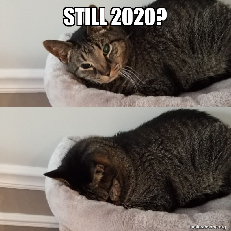 STIll 2020? Meme Generator