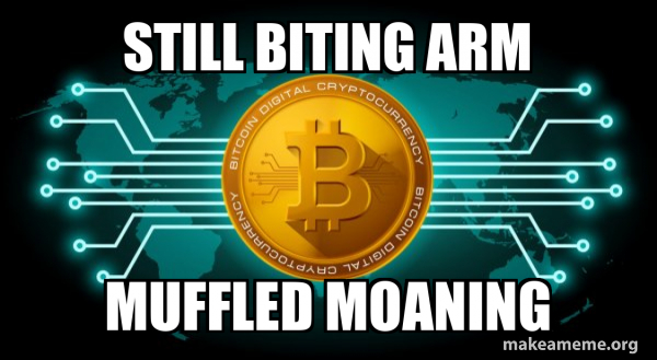 Still biting arm Muffled moaning - Bitcoin Meme Generator
