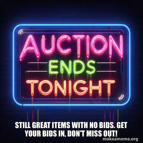 Still great items with no bids. get your bids in, don't miss out! Meme ...