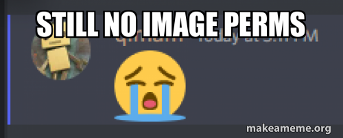 Still no image perms Meme Generator