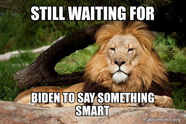 Still waiting for Biden to say something smart - Contemplative Lion ...