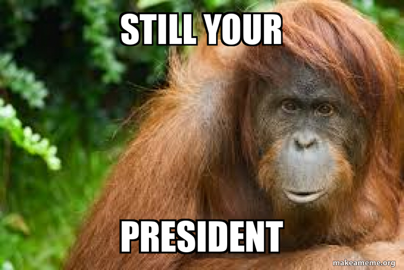 Still your President Meme Generator