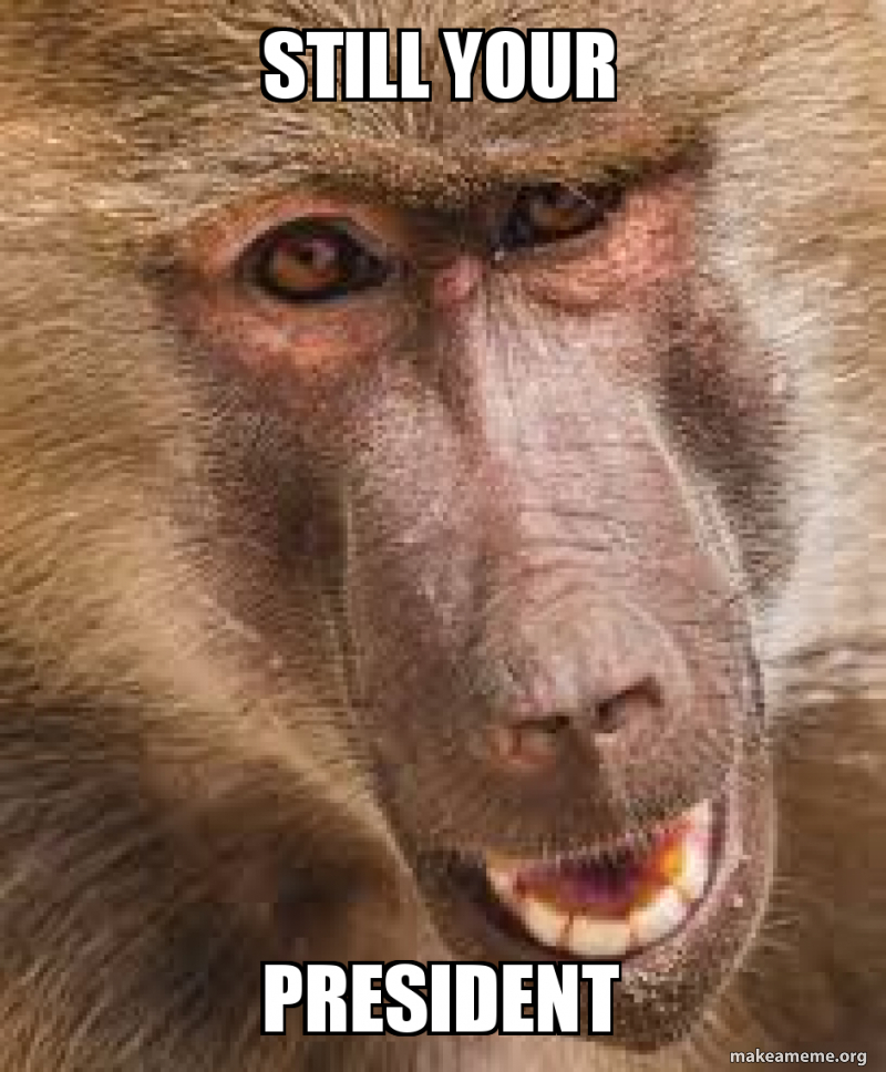 Still your President Meme Generator