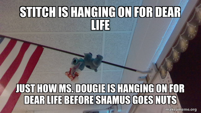 Stitch is hanging on For dear life Just how Ms. Dougie is hanging on ...