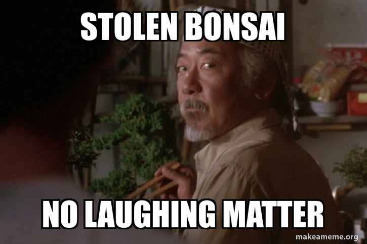 Stolen bonsai No lAUghing matter Meme Generator