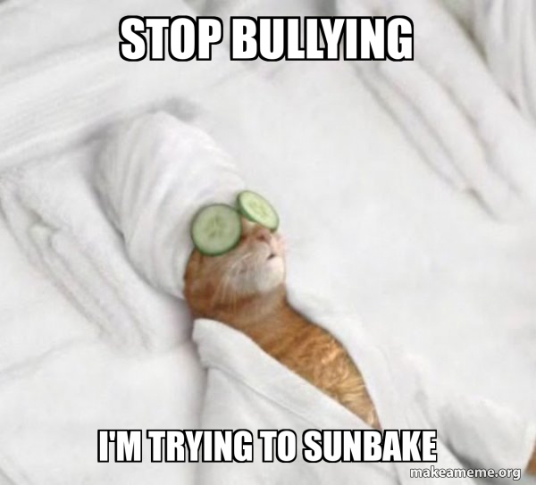 stop bullying I'm trying to sunbake - Pampered Cat Meme Meme Generator