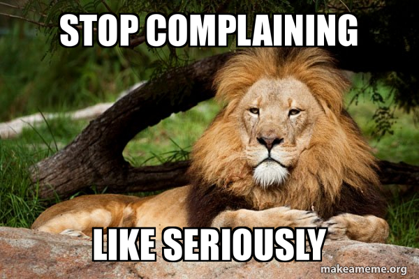 Stop Complaining Like Seriously - Contemplative Lion Meme Generator