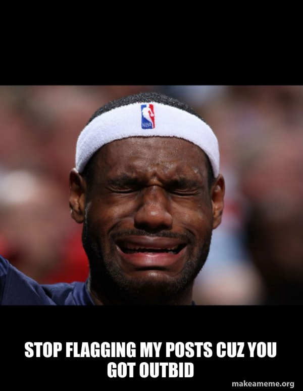 Stop flagging my posts cuz you got outbid - Lebron Crying Meme Generator