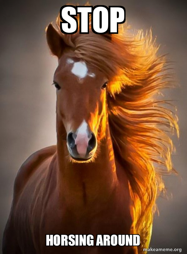 STOP HORSING AROUND - Ridiculously photogenic horse Meme Generator