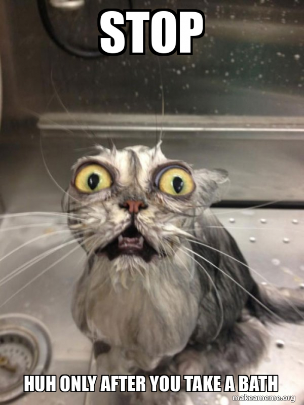stop huh only after you take a bath - Cat bath Meme Generator