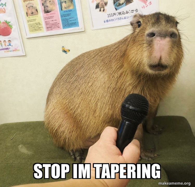 Stop im tapering Meme Generator