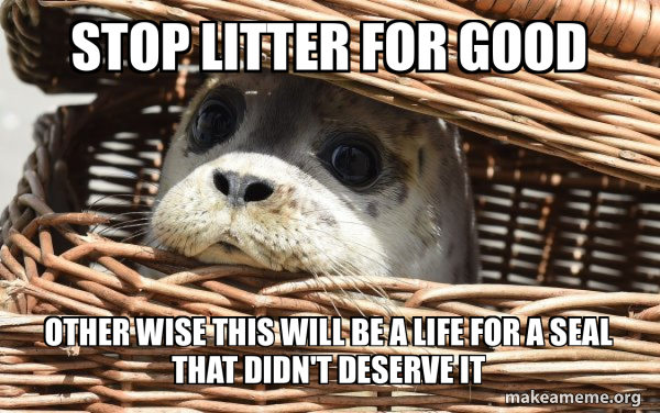 Stop litter for good other wise this will be a life for a seal that ...