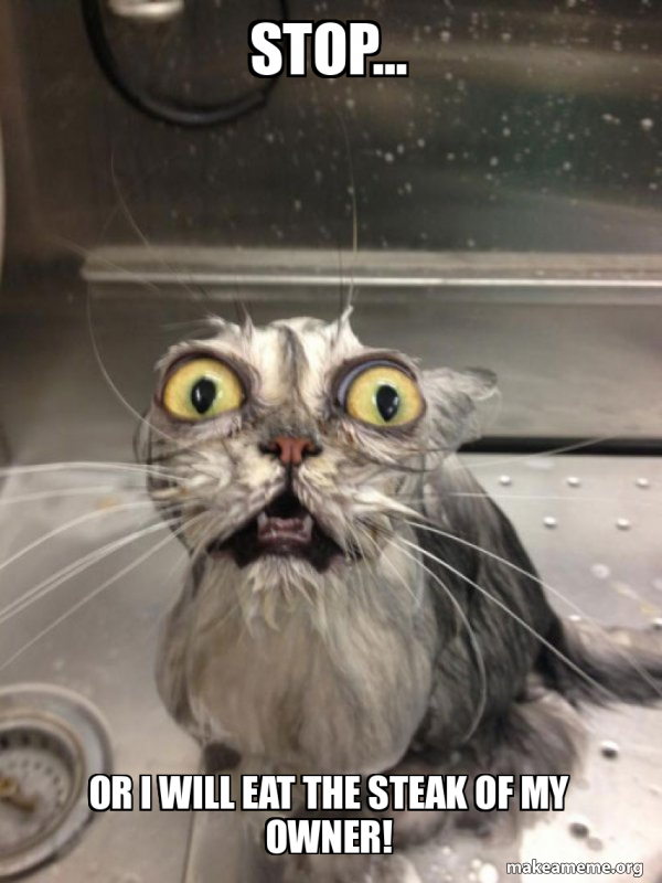 Stop... Or I will Eat the steak of my owner! - Cat bath Meme Generator