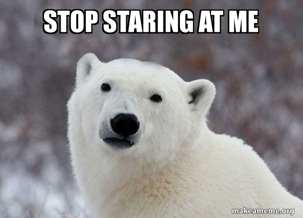 Stop staring at me - Popular Opinion Polar Bear Meme Generator