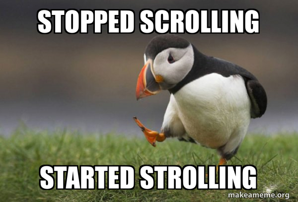 Stopped scrolling started strolling - Unpopular Opinion Puffin Meme ...