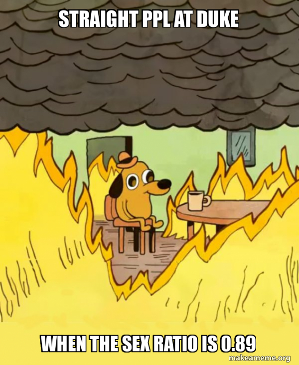 straight ppl at Duke when the sex ratio is 0.89 - This Is Fine Meme ...