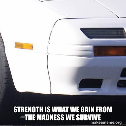 Strength is what we gain from the madness we survive Meme Generator