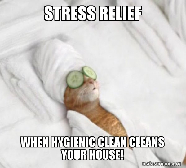 Stress Relief When Hygienic Clean cleans your house! - Pampered Cat ...