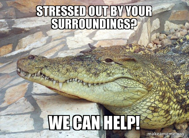 stressed out by your surroundings? we can help! Meme Generator