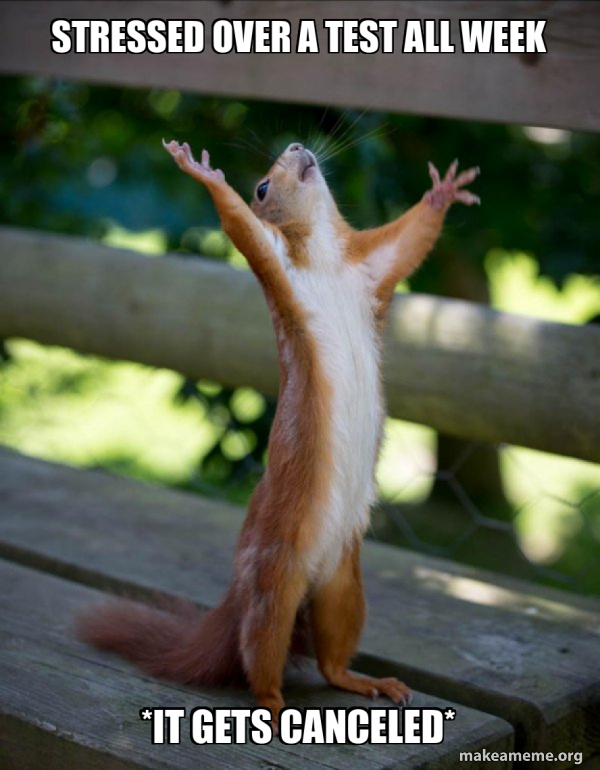 Stressed Over A Test All Week *it gets canceled* - Happy Squirrel Meme ...