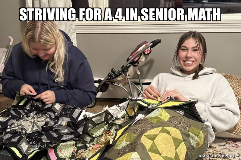 Striving for a 4 in senior math Meme Generator