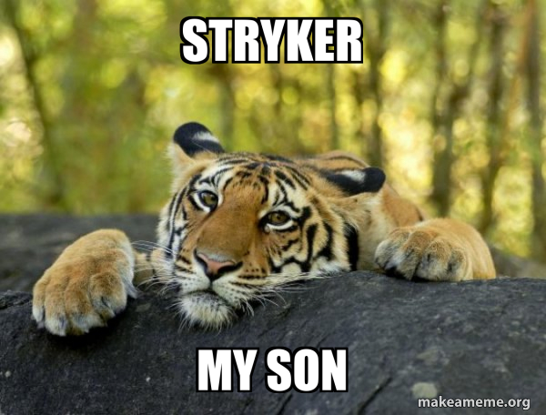 Stryker My Son - Confession Tiger Meme Generator