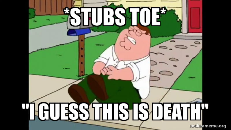 *Stubs Toe* "i guess this is death" Meme Generator